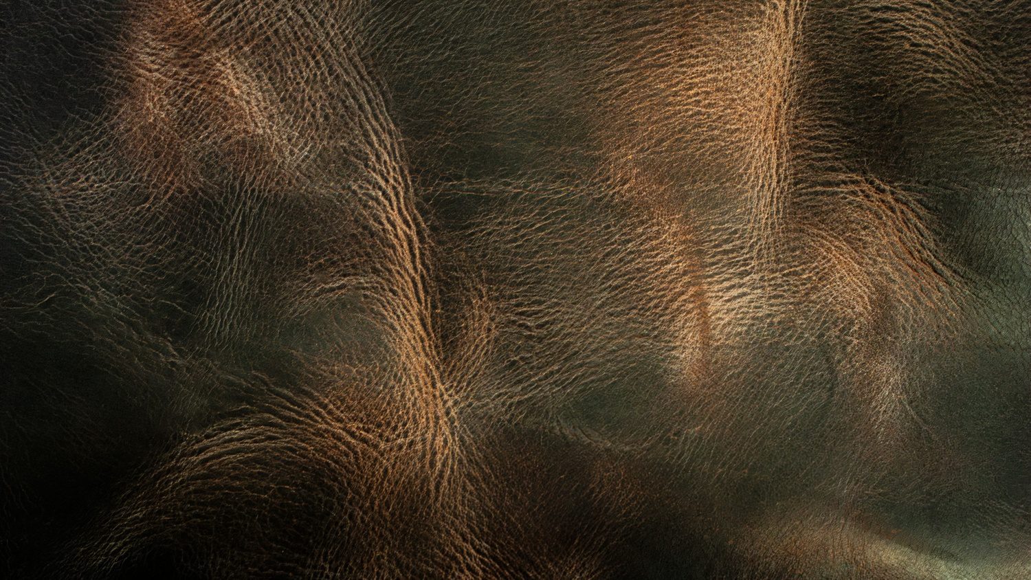 Storm - Chocolate - Alma